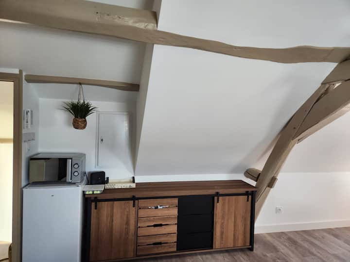 Le Studio De La Manu Climatisé - Châtellerault