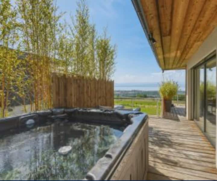 Maison Avec Vue Panoramique Sur Le Lac Léman - Évian-les-Bains