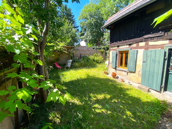 Jolie Maison Alsacienne Avec Jardin à Schiltigheim - Strasbourg