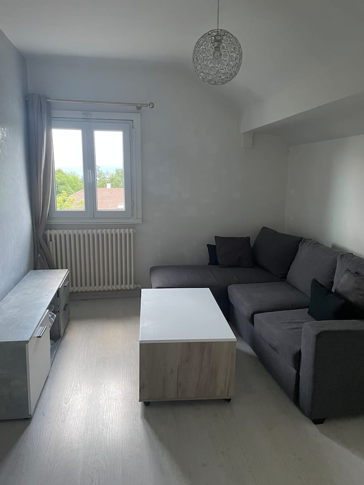 Apparemment 3 Pièces Avec Jardin - Thonon-les-Bains