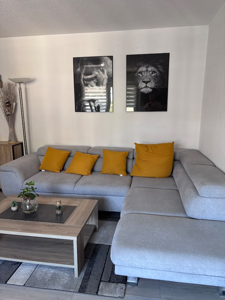 Petit Appartement Sympa Proche Centre-ville - Gérardmer