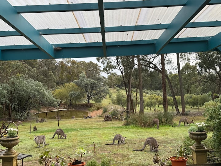 Countryside Retreat Romantic Luxury Cottage - Hepburn Springs