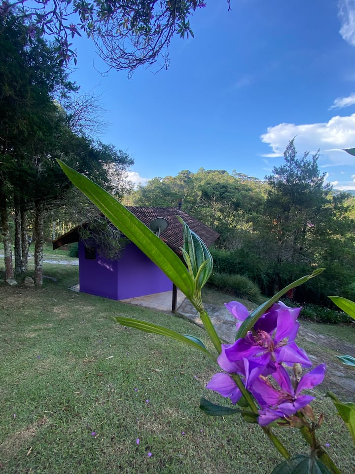 Chale 8 - Santo Antônio do Pinhal