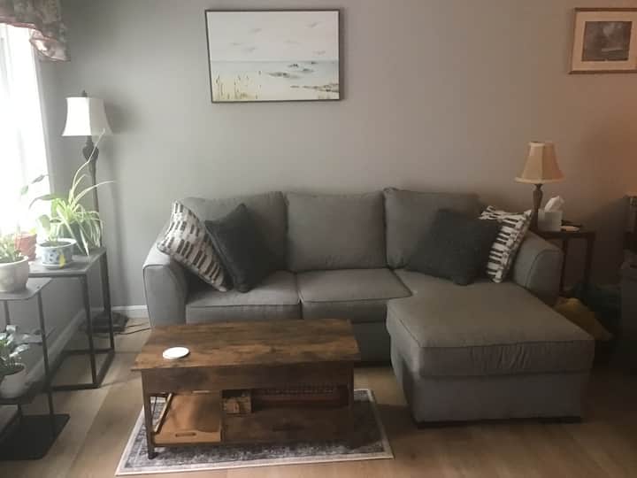 Townhouse Close To The T, Foxboro And Boston - Blue Hills Reservation, Milton