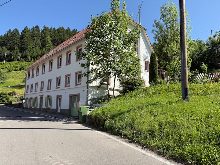 Ferienwohnung "Zum Hirsch" - Wolfach