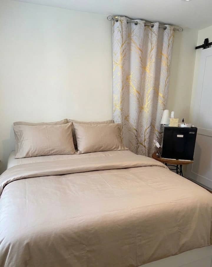 Charming Room In Downtown Charleston - Charleston, SC