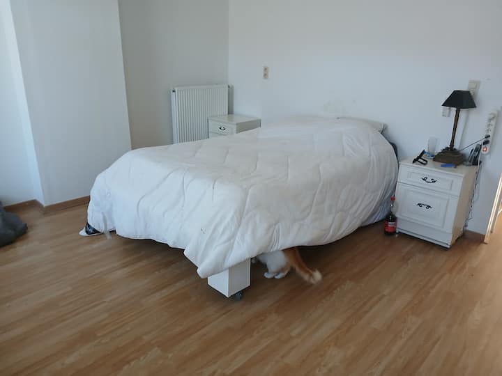 Welkom In Mijn Gezellig Huis. - Lille, Belgium