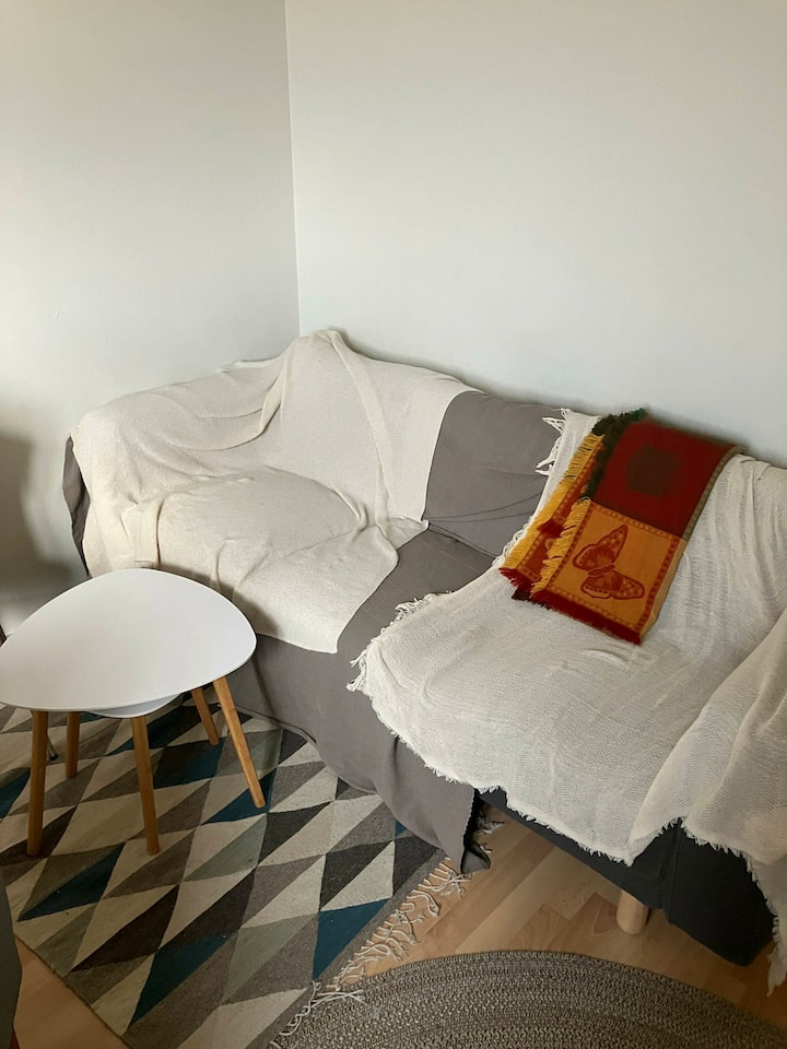 Cozy Central Apartment - Copenhague