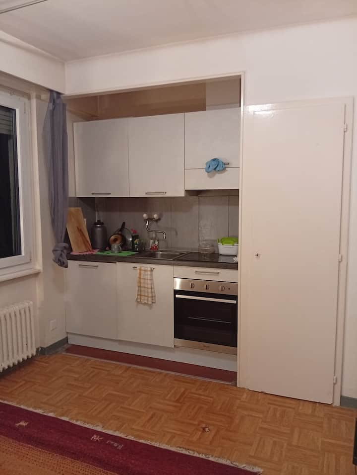 Studio En El Centro De Lausanne - Lausanne