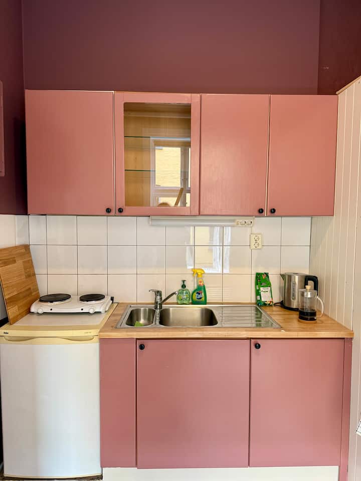 Charming Apartment - Walk Everywhere - Oslo