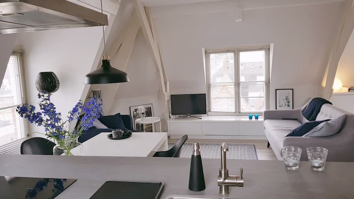 Licht Appartement Met Fantastisch Dakterras - Diemen
