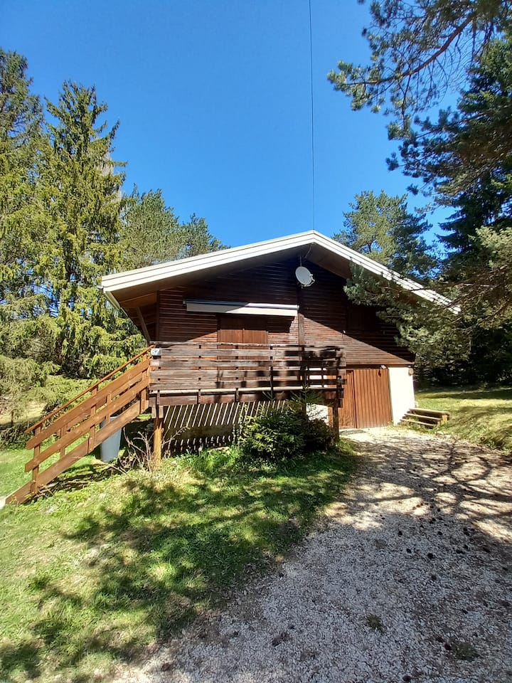 Chalet Au Vert Avec Deux Terrasses Et Jardin - Villard-de-Lans
