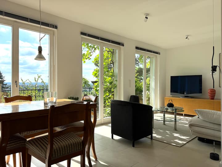 Sonniges Apartment In Bestlage Am Dresdner Elbhang - Dresde