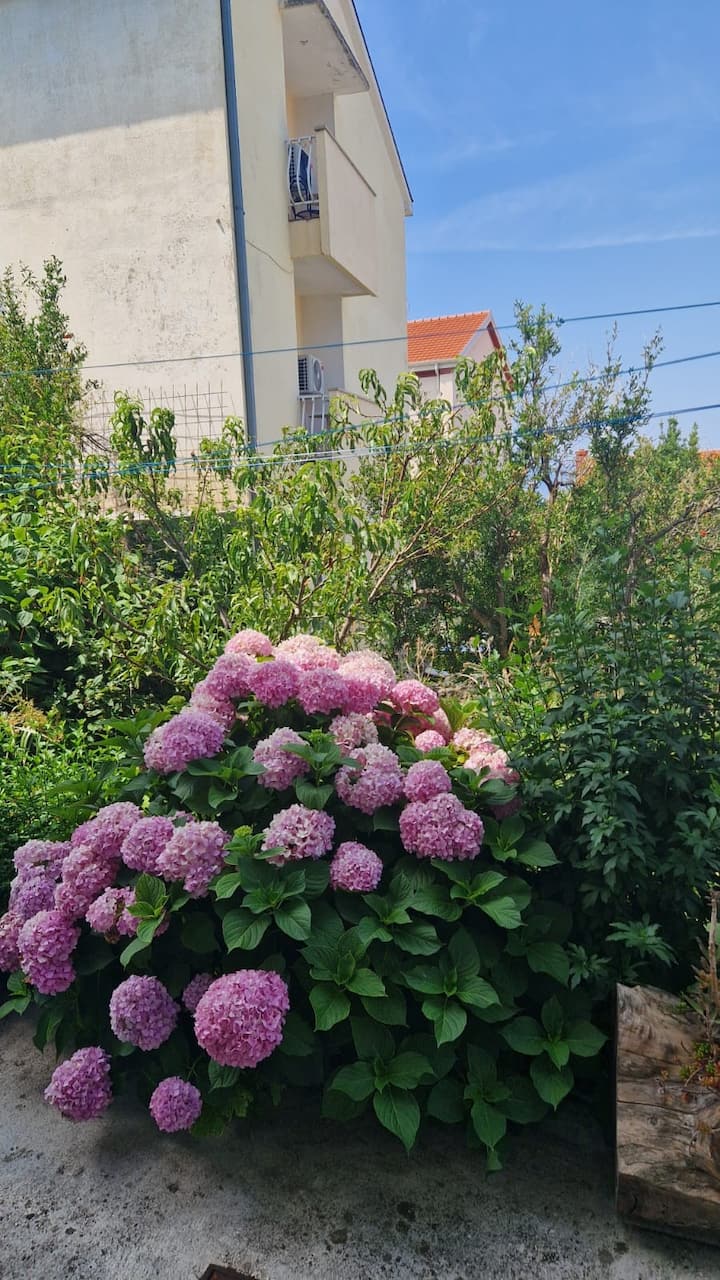 Apartman Vedran - Podgora