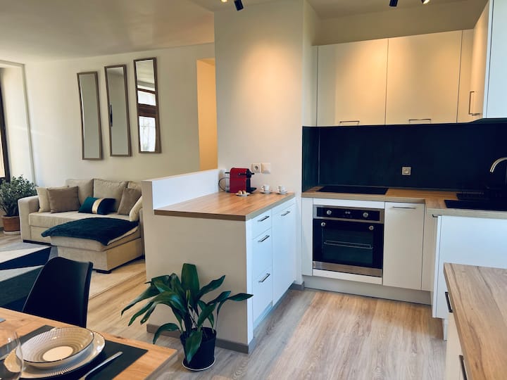 Charmant Appartement Indépendant Dans Maison - Évian-les-Bains