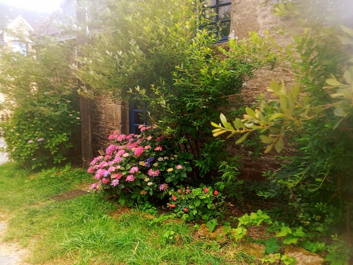 Petite Maison De Bourg - Pluvigner