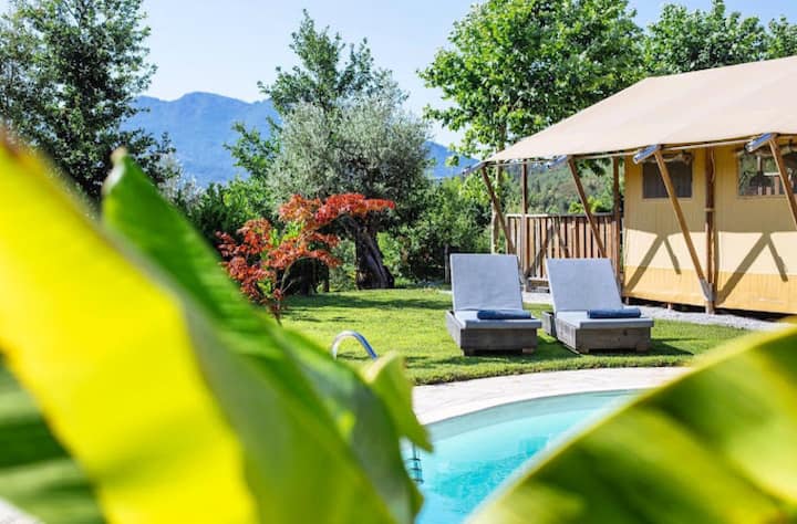 Pinheiro Glamping - Mondim de Basto