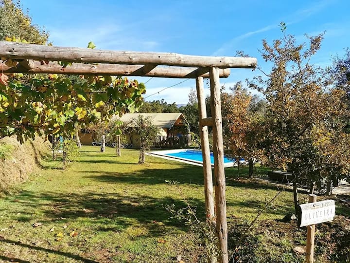 Oliveira Glamping - Mondim de Basto