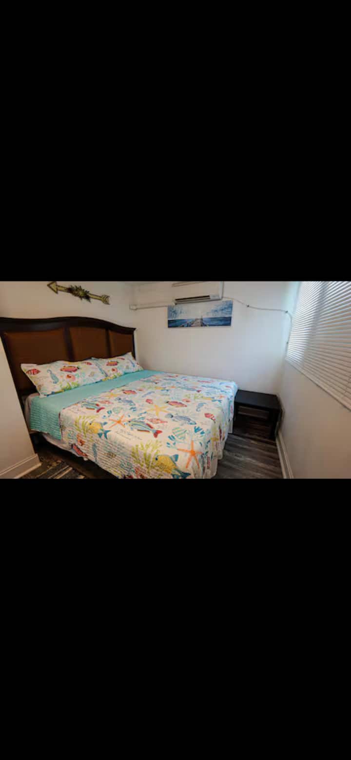 Charming 1br/1ba Retreat Min From Downtown St. Pet - Saint Petersburg, FL