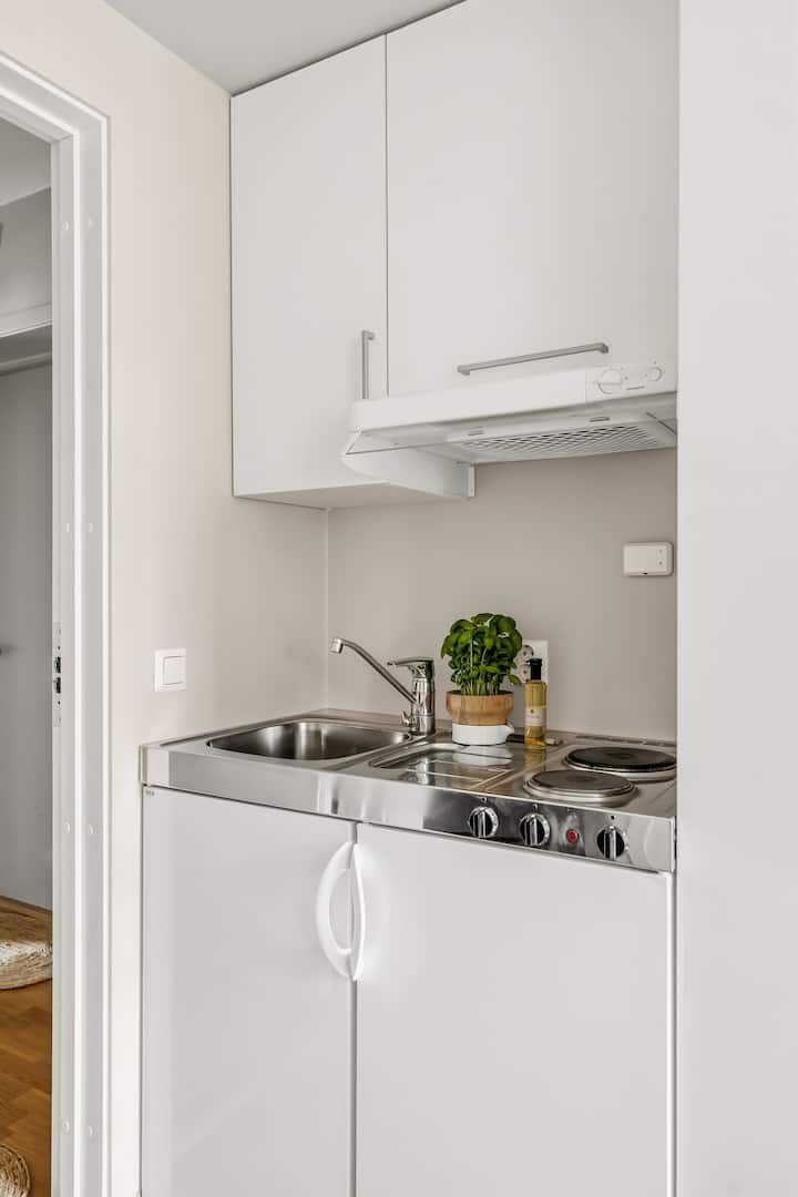 Hyggelig Studioleilighet Med Eget Bad - Oslo