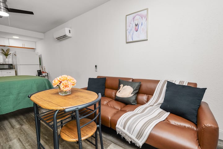 Cutest Swan Studio Apartment - Lakeland, FL
