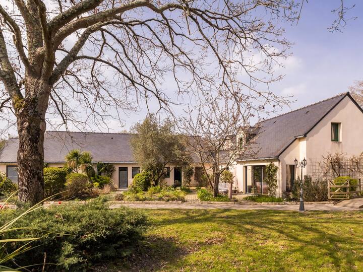 Chambre Avec Terrasse Privative - Guérande