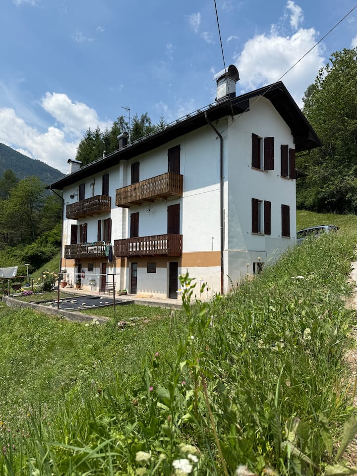Locazione Turistica - Ca'regina - Pieve di Cadore