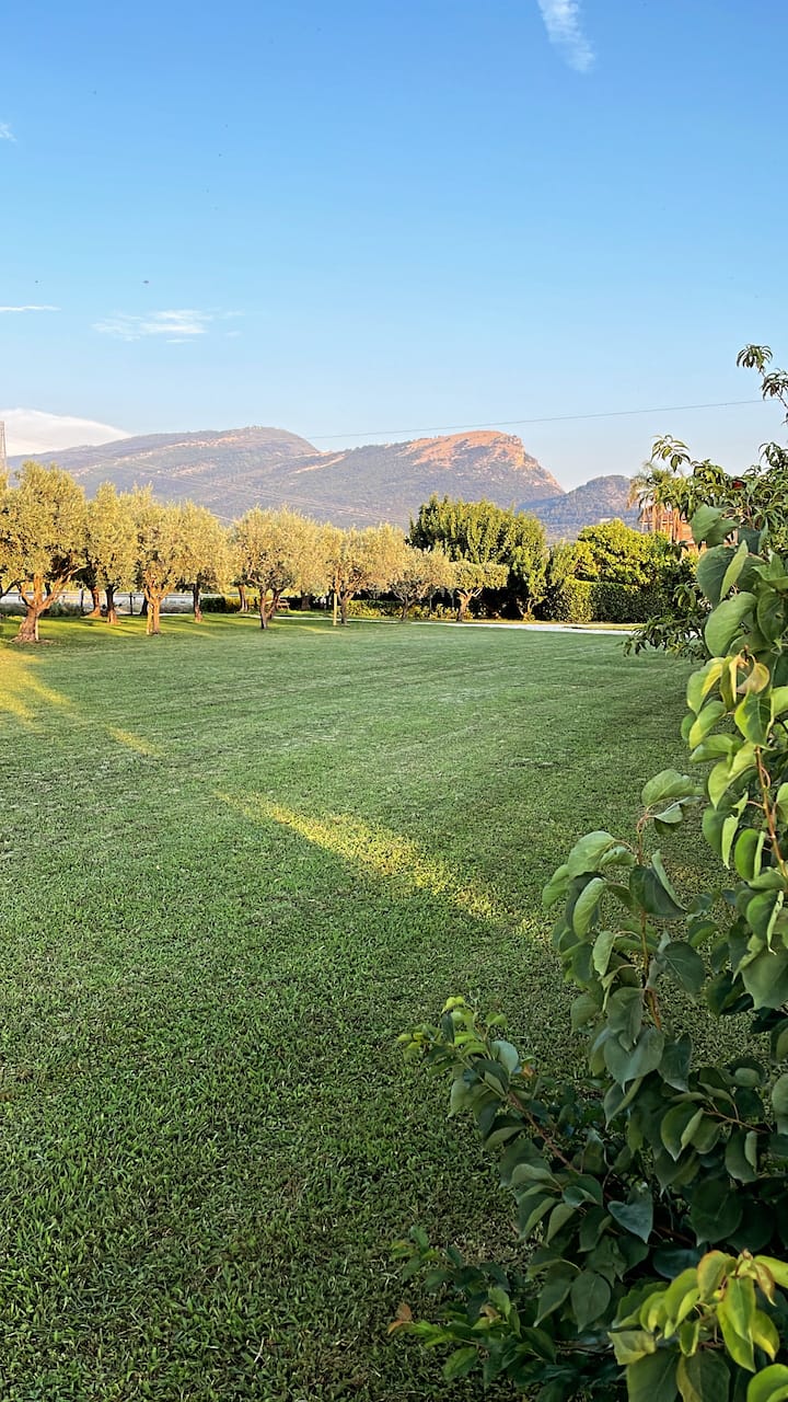 Dimora Tra Gli Ulivi Del Cilento - Paestum