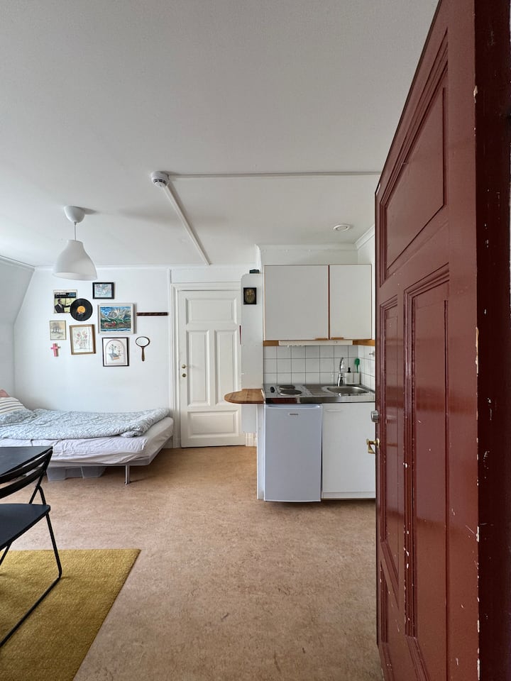 Charming City Apartment - Stockholm