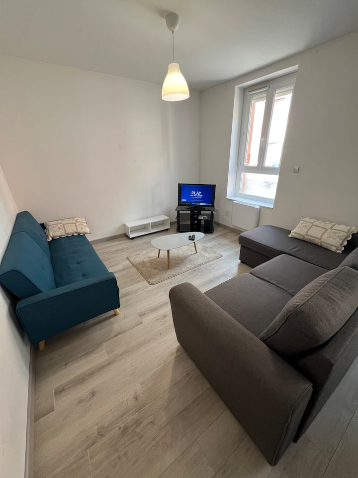 Appart 2 Chambres Parentales  1 Mai  Wifi Clim - Clermont-Ferrand