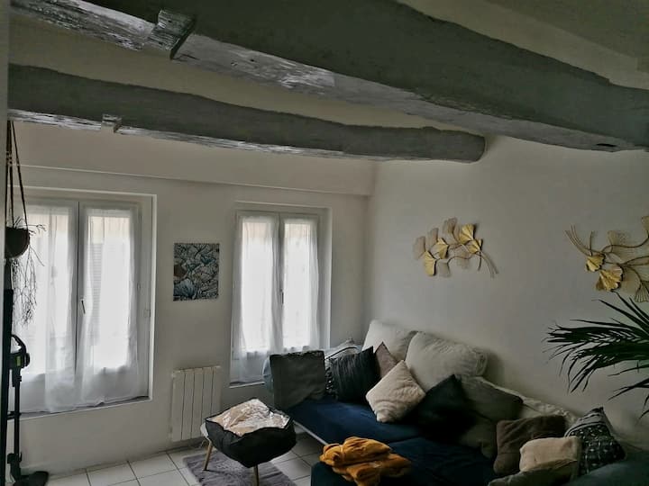 Appart Chaleureux Tout ÉQuipé – 30 Min De Paris - Chambly