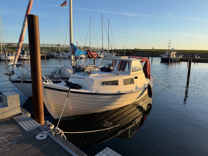 Euforia Boat - Malmö