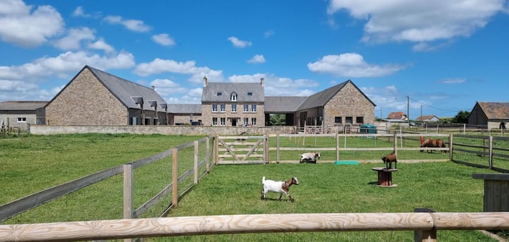 Domaine De La Dune - Ravenoville