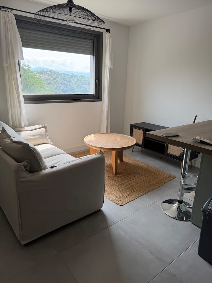 Appartement T2 - Corte