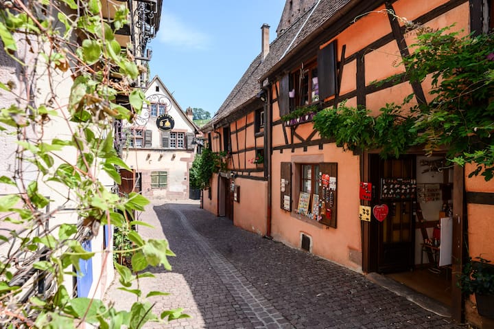 Appartement Aux Deux Tours - Ribeauvillé