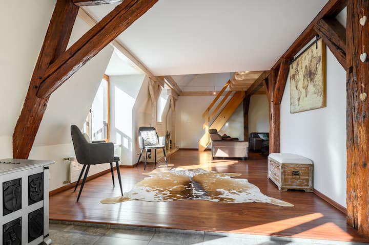 Appartement Villa Louisa - Colmar