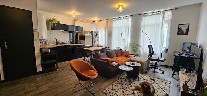 Superbe Appartement T2, Proche Des Gares De Lille - Villeneuve-d'Ascq
