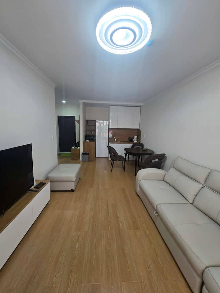 City Center Apt With Mountain Views - Mongolia