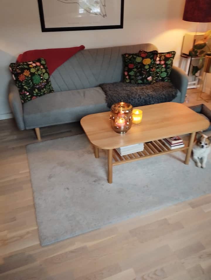 Hus M Trädgård Centralt I Kalmar.8500:- - Kalmar