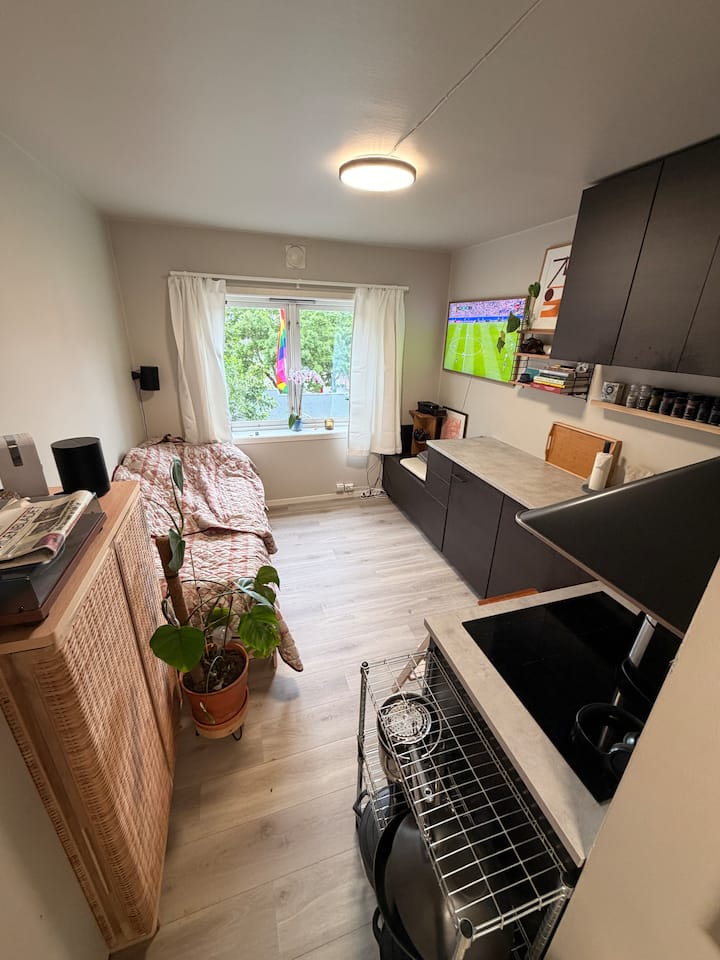 Sentral Leilighet På Vakre Vålerenga - Oslo