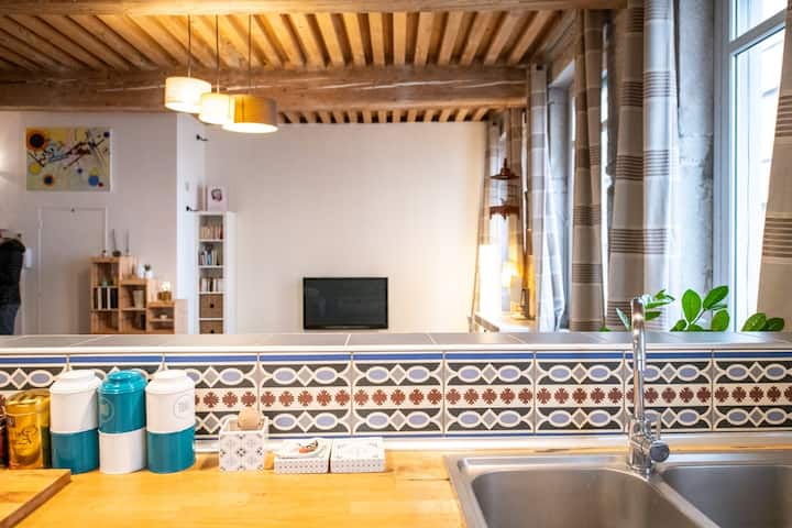 Le Grand Colomès - Grand Appartement De Charme - Lyon