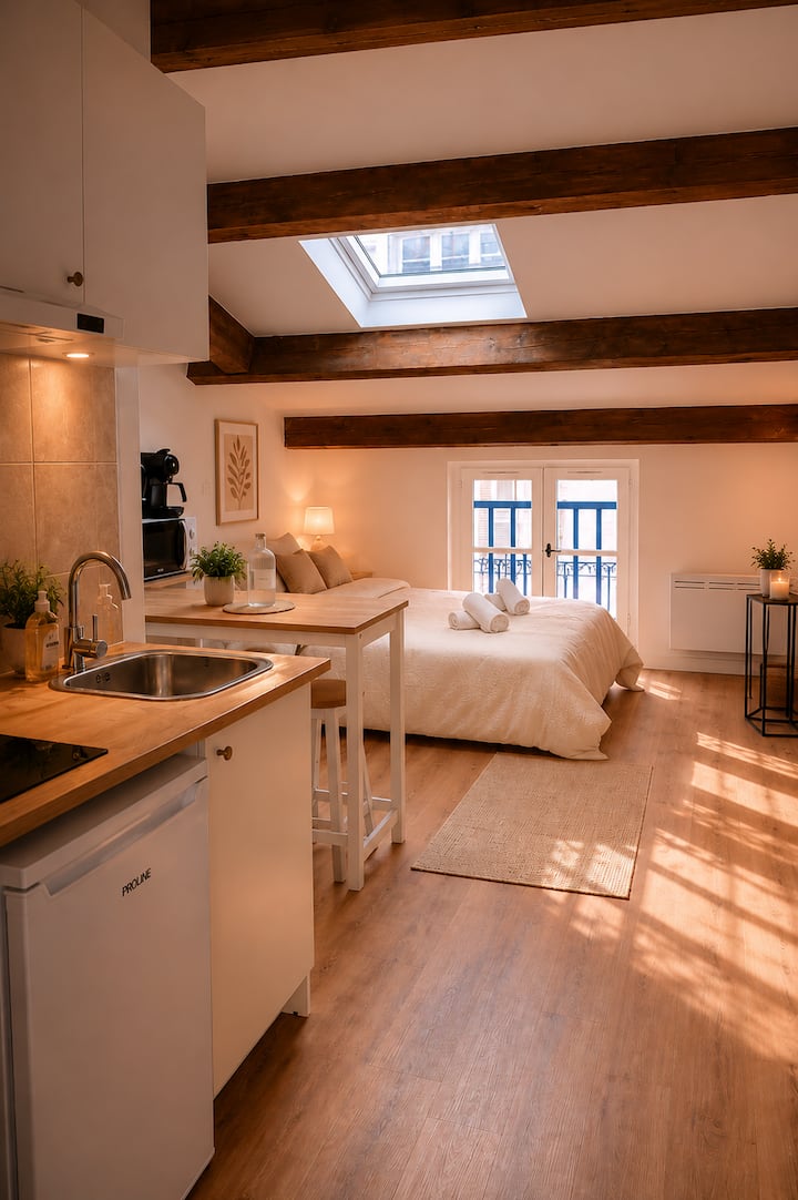 Le -Puy- En -Velay - Studio En Centre Ville - Le Puy-en-Velay