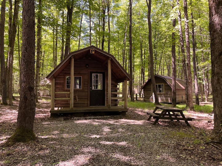 Cabin P (Rustic): Full Bed + Bunkbeds - Bradford, PA