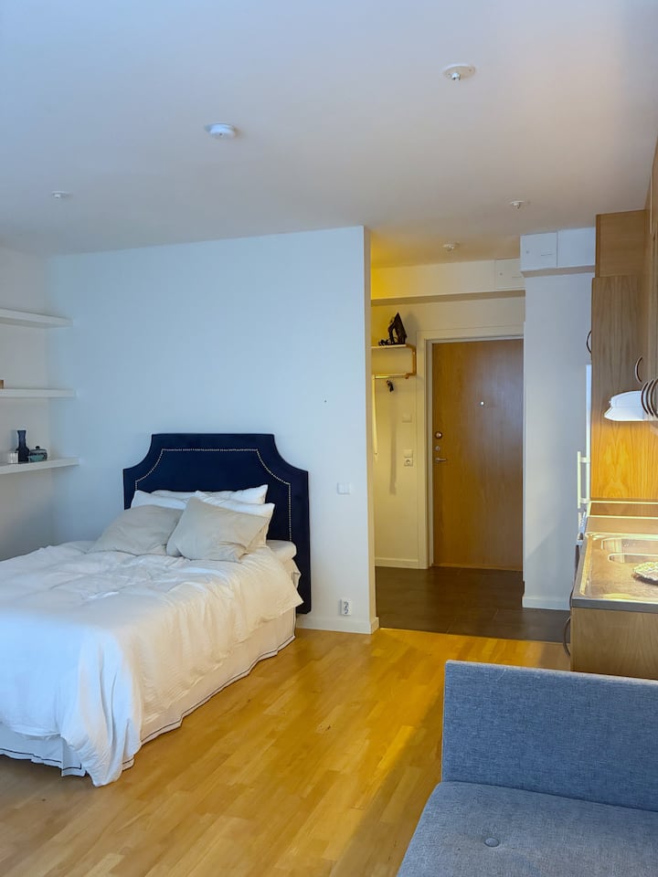 Studio With Balcony In Stockholm - Stockholm