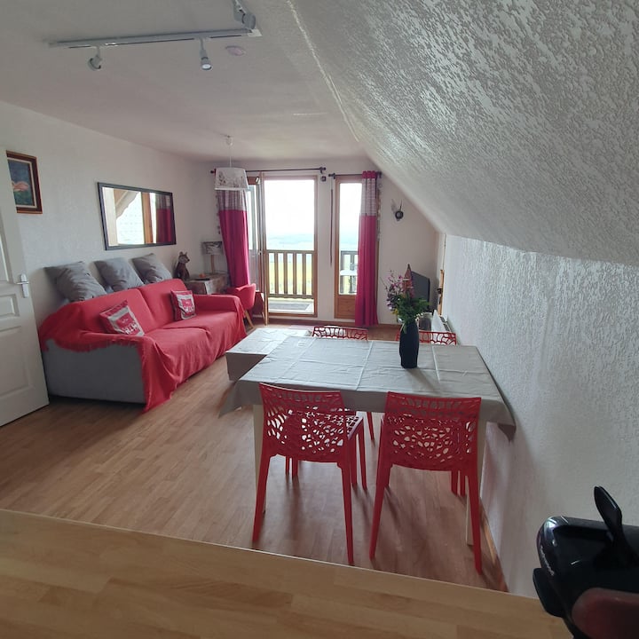 Appartement Tout Confort Proche Du Centre Ville - Besse-et-Saint-Anastaise