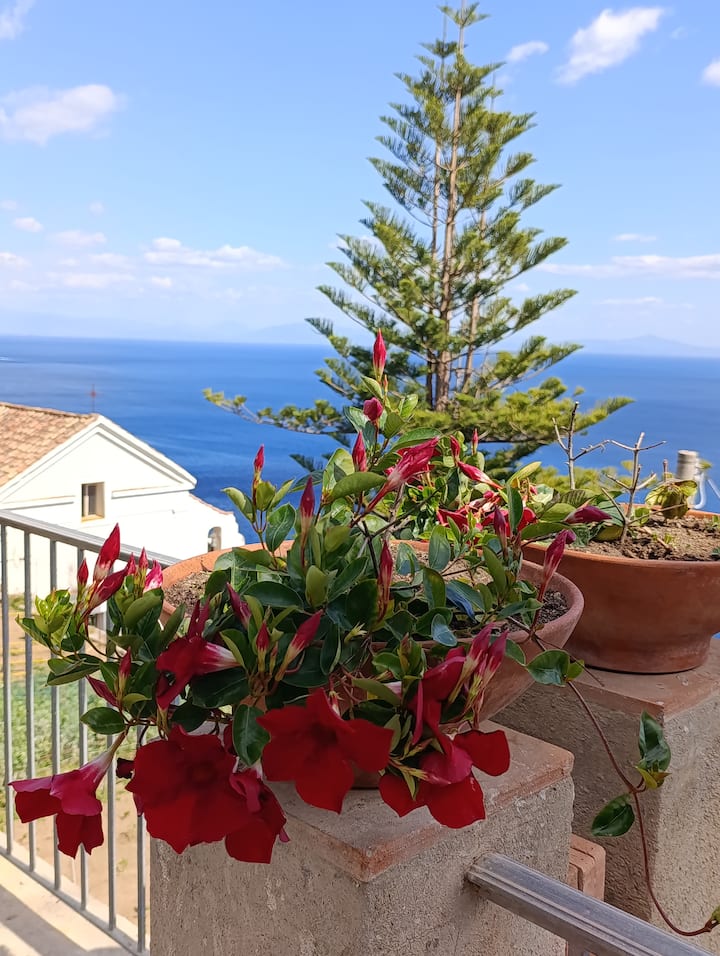 Casa Rosaria - Praiano