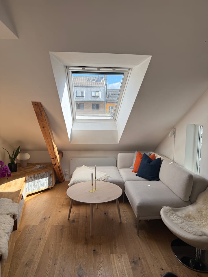Sofienberg Rooftop Stay - Oslo