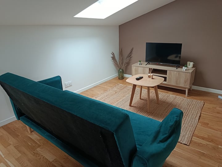 Le Cocon Cosy, Appartement Moderne & Confortable - Mâcon