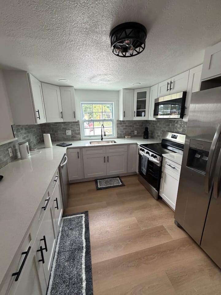 South Tampa Gem - Ace Location - Modern - Tampa, FL