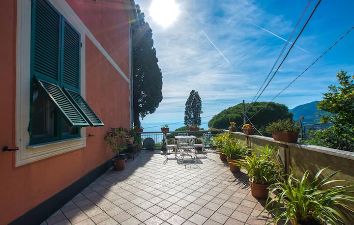 Red House - Camogli